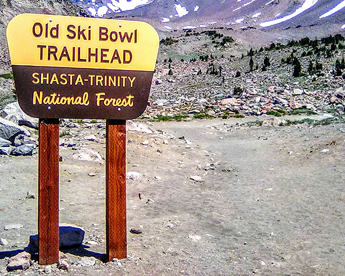 Old Ski Bowl Trailhead: where your hiking ambitions meet reality. The sign might as well add "Prepare for jaw-dropping views and possible spiritual awakening."