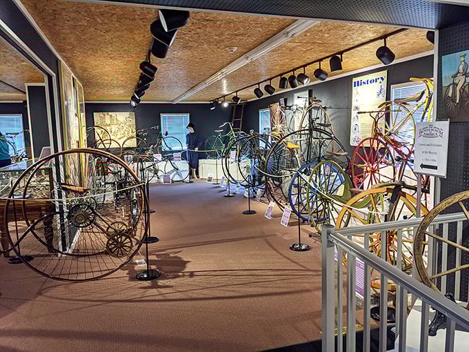 Early bicycles line the museum's pathway, each one telling the story of our two-wheeled evolution. Those massive front wheels weren't just for show&mdash;they were engineering solutions!
