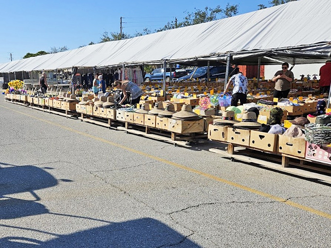 Florida's outdoor market scene thrives under white canopies. Fresh produce and handcrafted goods create a shopping experience that big box stores can't replicate.