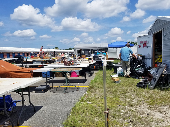 Under the brilliant Florida sunshine, outdoor vendors create an impromptu marketplace where treasures bake in the heat, waiting for discovery.