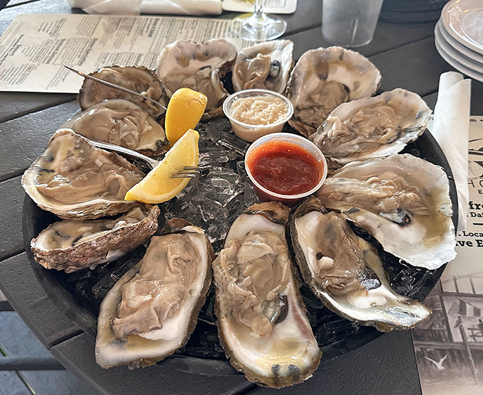 Fresh oysters arrive like briny treasures, each one a perfect gulp of oceanic bliss.