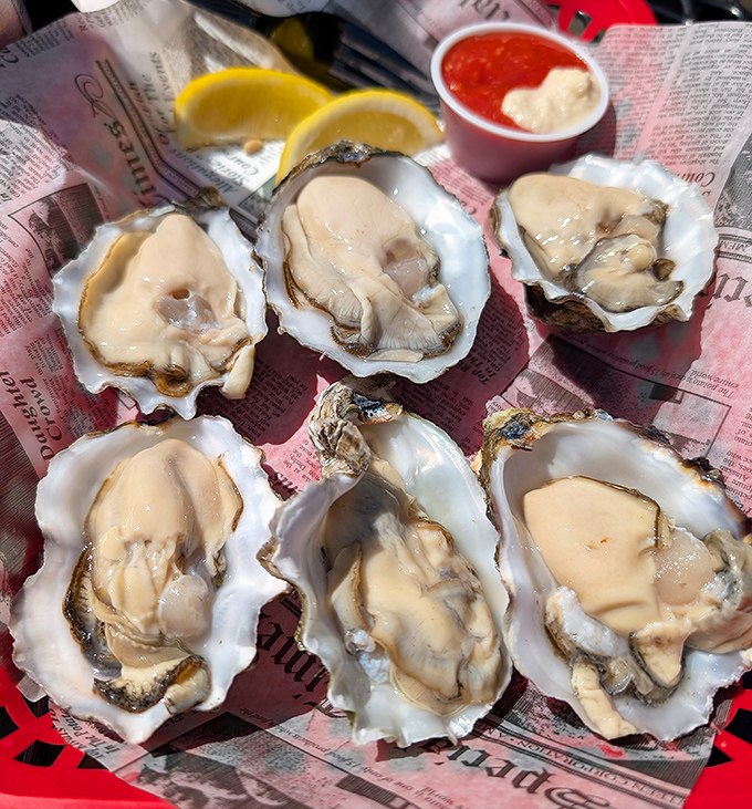 Ocean jewels on the half shell. These plump, glistening oysters are so fresh they practically whisper tales of the Pacific with each briny bite.