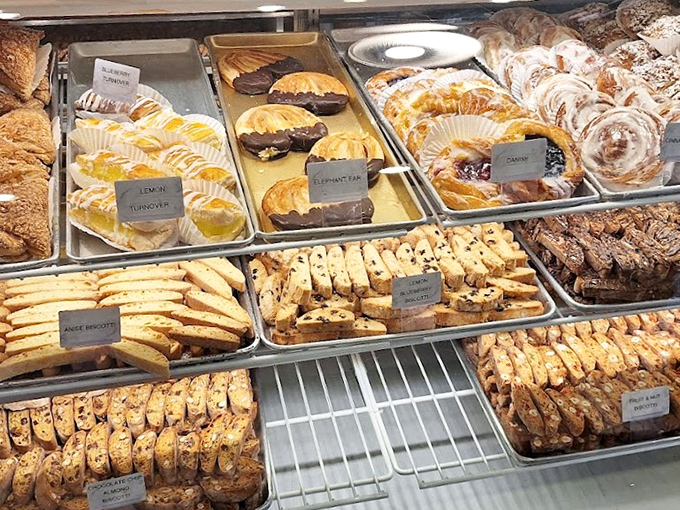 Biscotti battalions stand at attention alongside elephant ears and cinnamon swirls, each patiently waiting their turn to change someone's day.