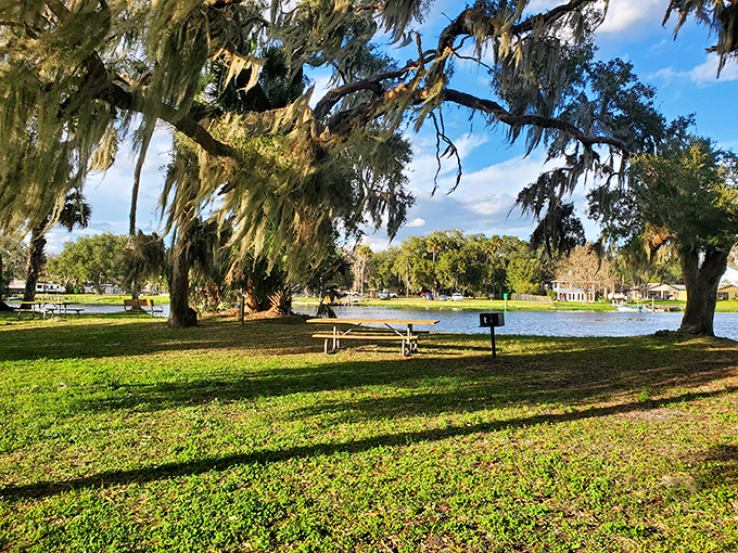 Picnic perfection under moss-draped oaks where the loudest sound is the occasional acorn dropping like nature's dinner bell.