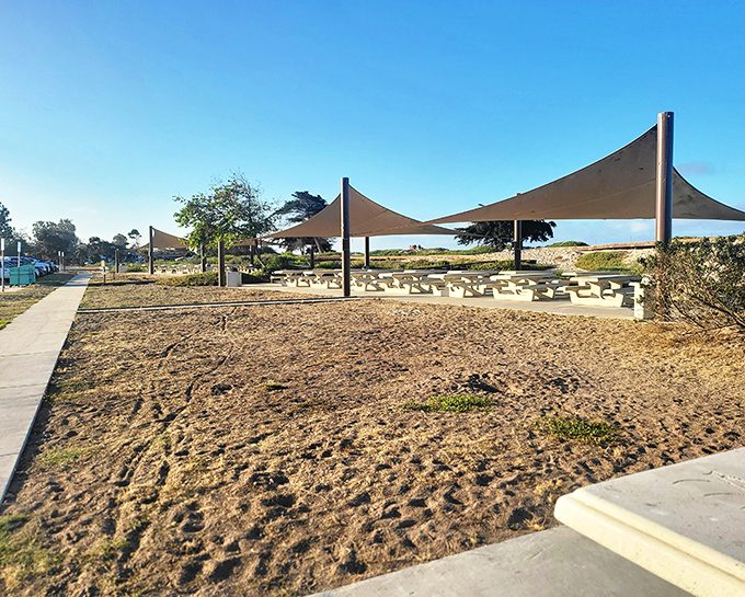 Perfect picnic spots where ocean breezes provide the best air conditioning money can't buy.