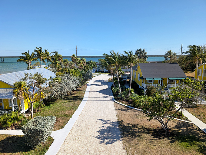Island life, distilled: Pigeon Key's historic district showcases the perfect blend of Old Florida charm and Keys casualness, all surrounded by that impossible blue.