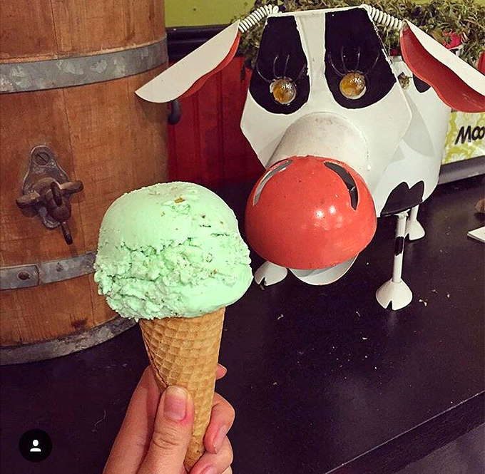 That pistachio scoop isn't just ice cream&mdash;it's a green dream posing for its glamour shot with the shop's mascot photobombing. 