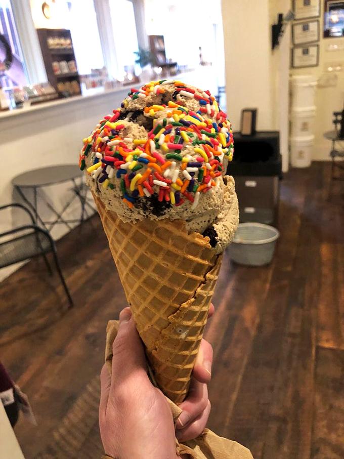 When your ice cream cone needs its own Instagram account because those rainbow sprinkles are working overtime.