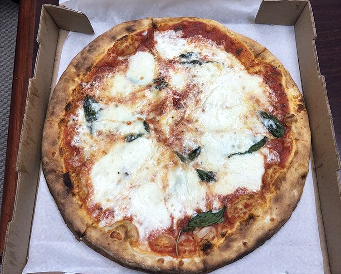 Pizza nirvana achieved! The perfect char on that crust, the melty cheese islands, and those fresh basil leaves&mdash;this isn't just food, it's edible art with attitude.