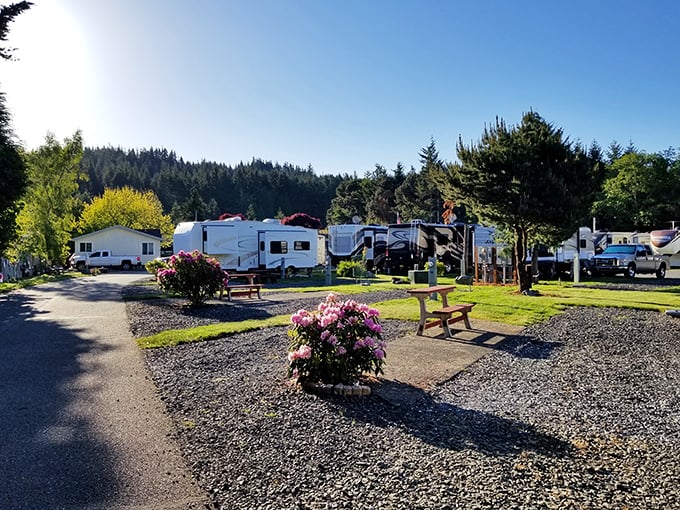 RV living with a forest backdrop. Like glamping's practical cousin who still remembers to bring the coffee maker.