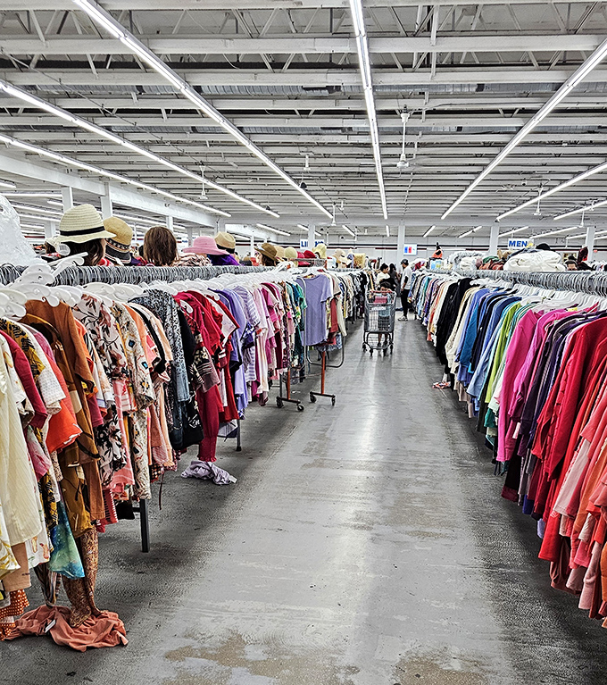 Aisles of possibility stretch out like a treasure map, each turn revealing new discoveries waiting.