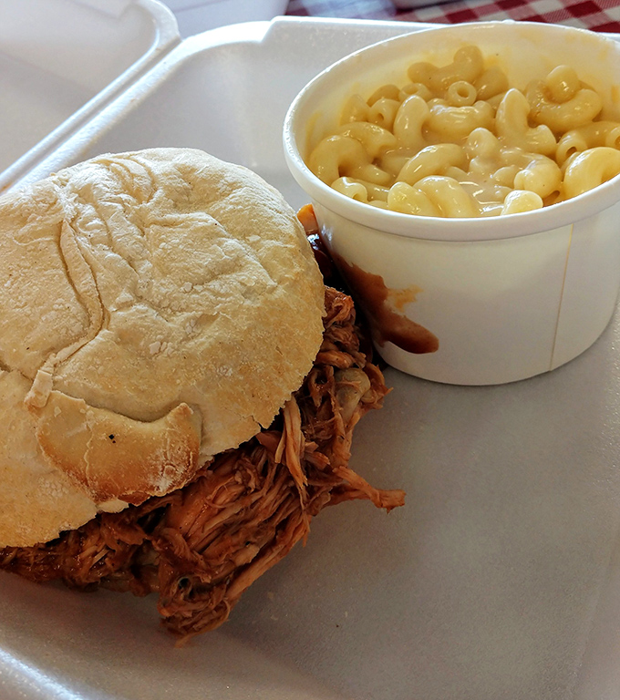 Pulled pork perfection on a bun with mac and cheese that doesn't play second fiddle. A duet of comfort that sings.