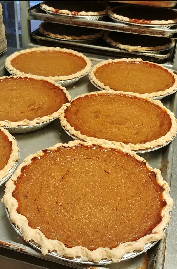 Pumpkin pie perfection! These golden-hued beauties aren't just desserts; they're edible time machines to your grandmother's kitchen.