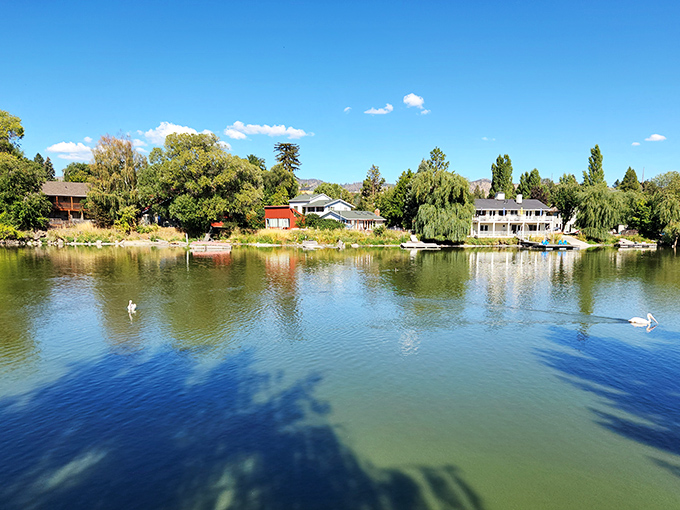 Lakeside living that doesn't require a celebrity budget. Those swans aren't paid actors – they're just locals enjoying the good life.