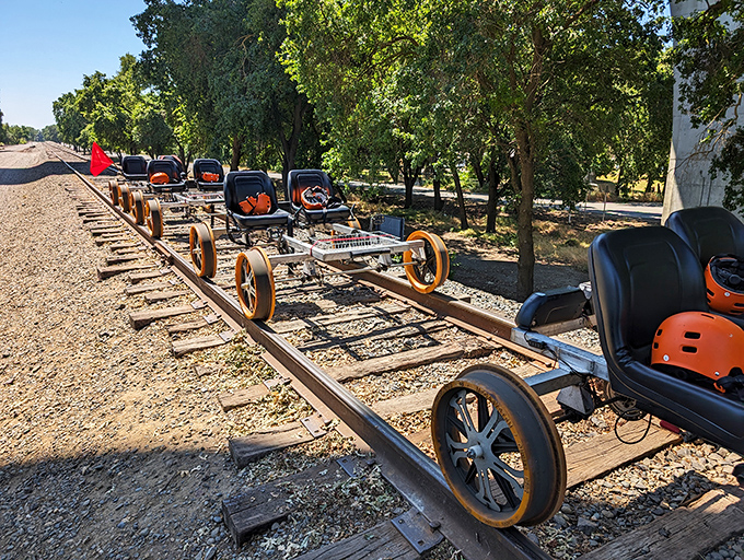 All aboard the quirky rail bikes! These pedal-powered contraptions offer a delightfully different way to experience the Delta's scenic beauty.