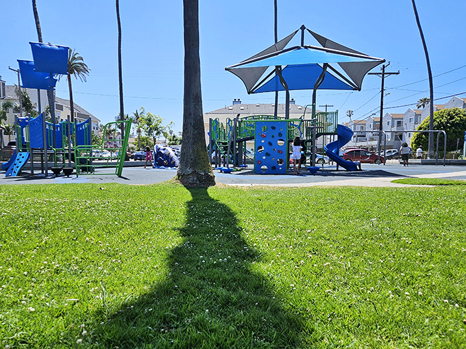 Families enjoy sunny afternoons at Reama Park, where green lawns and playground fun create lasting memories in Imperial Beach.