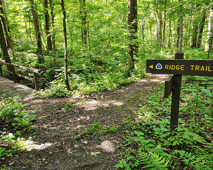 The Ridge Trail beckons with promises of adventure. This wooden signpost might as well say "This way to temporarily forget about your inbox."