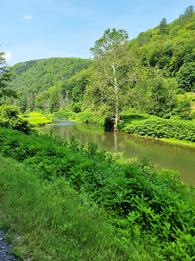 Meandering through verdant banks, this tranquil waterway has witnessed generations of travelers, its peaceful current a counterpoint to our rushed modern lives.