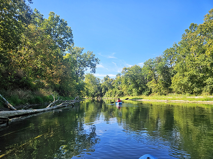 Nature's therapy session: Kayaking the serene waters near Connersville costs less than a massage but delivers twice the relaxation.