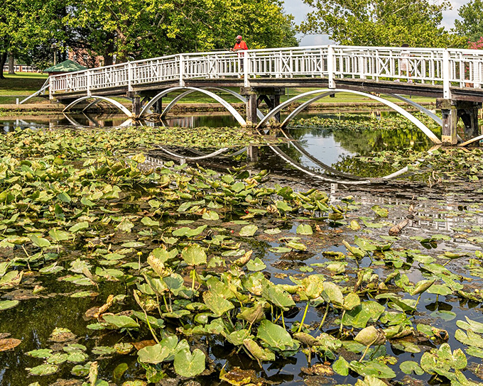 This picturesque bridge in City Park could be straight out of a Monet painting, if Monet had been fond of lily pads and Maryland's Eastern Shore.