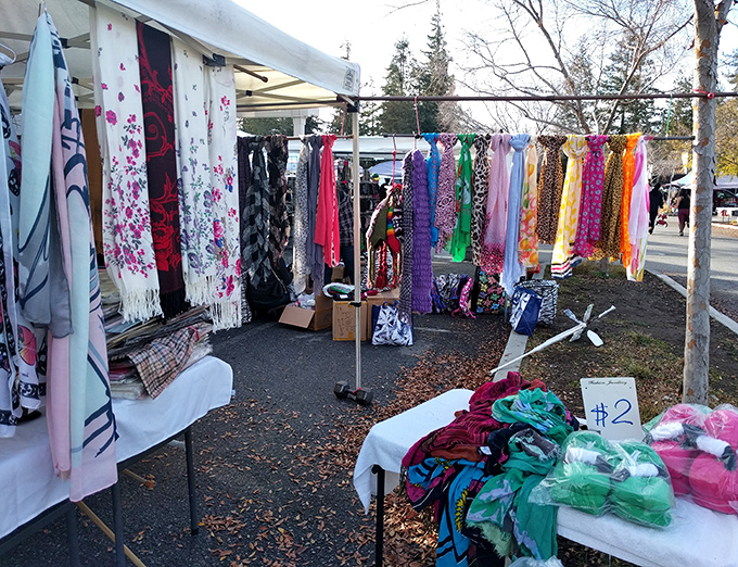 Flowing fabrics dance in the breeze, transforming this college campus into a vibrant textile paradise.