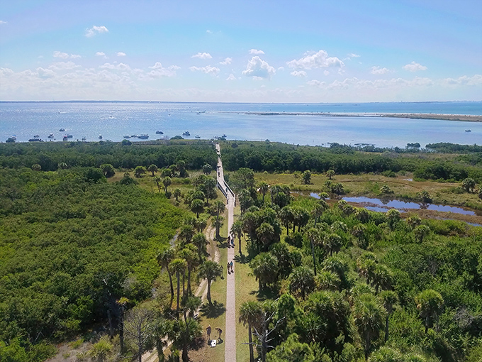 Nature's red carpet: this wooden boardwalk cuts through lush coastal vegetation, leading adventurers toward breathtaking views and inevitable sunburns.