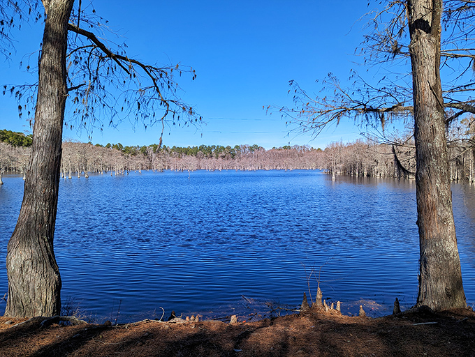 Winter's bare beauty: even in the off-season, the mill pond offers breathtaking vistas where sky meets water in perfect harmony.
