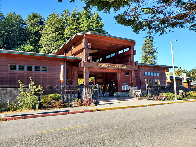 The Sequoia Park Zoo entrance welcomes visitors with rustic charm &ndash; proving small zoos can deliver big experiences without big-city prices.