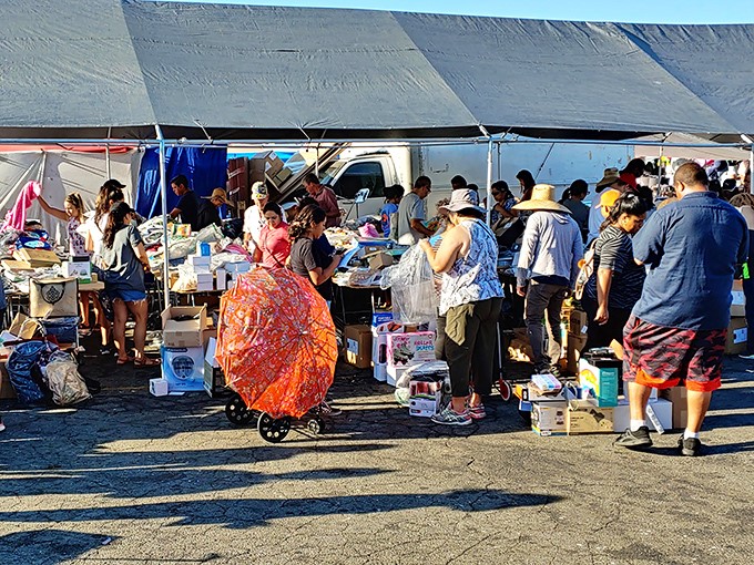 Bargain boulevard at its finest! Shoppers navigate this treasure-filled corridor with purpose, like urban explorers discovering retail's most affordable frontier.