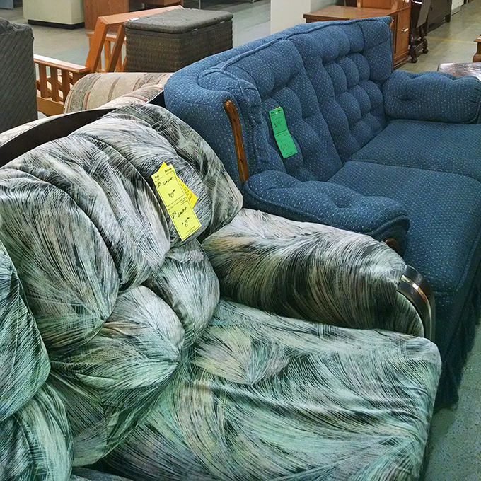 Sofa, so good! These gently-used couches await new homes, each with stories to tell and plenty of comfortable seating left to offer.