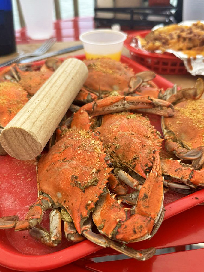 These steamed crabs aren't just dinner &ndash; they're an event. Dusted with Old Bay and served with wooden mallets for the full Maryland-meets-Virginia experience.
