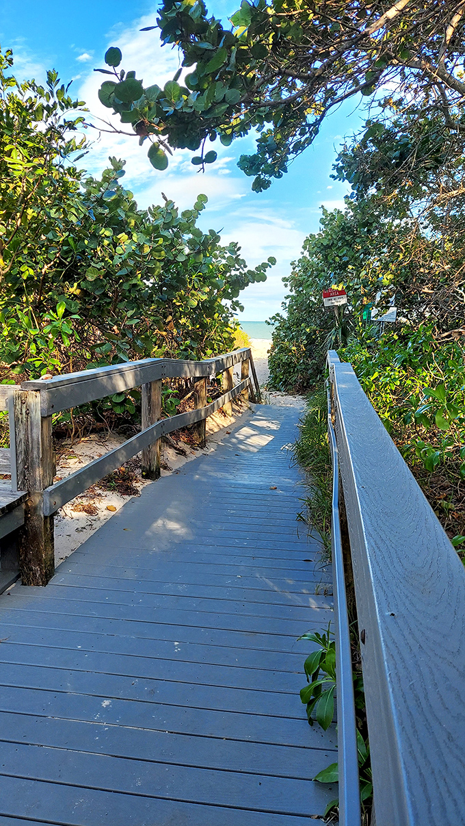 Beach access pathways like this one are Vero's version of yellow brick roads, each leading to an emerald and sapphire paradise just beyond the sea grapes.