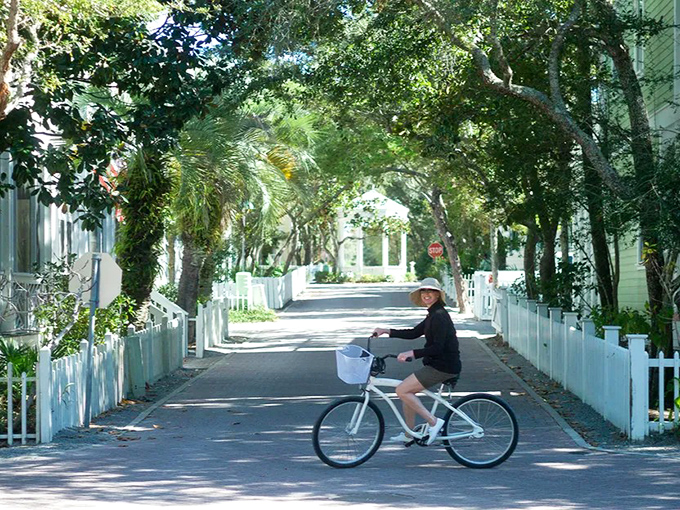 Canopied streets invite exploration by bike rather than car. This is Florida's version of a tree tunnel, minus the humidity-induced bad hair day.