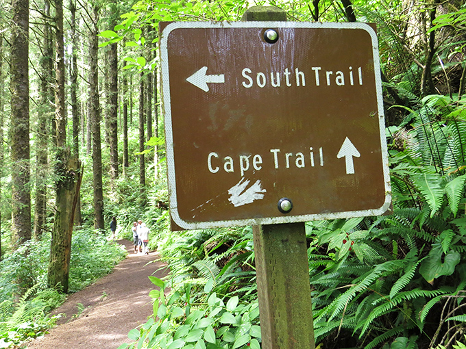 Decision time on the trails. Will you choose the coastal panoramas of Cape Trail or the forest serenity of South Trail?