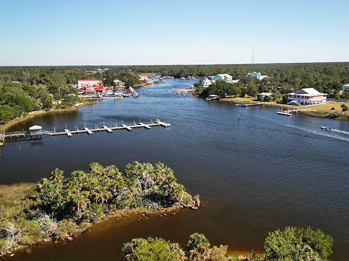 The Steinhatchee River winds through town like a lazy storyteller, connecting forest to Gulf in an unhurried Florida embrace.