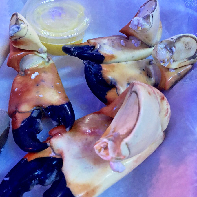 Stone crab claws &ndash; Florida's edible treasure. Nature's perfect design: crack, dip, savor, repeat until your tablemates start giving you the side-eye.