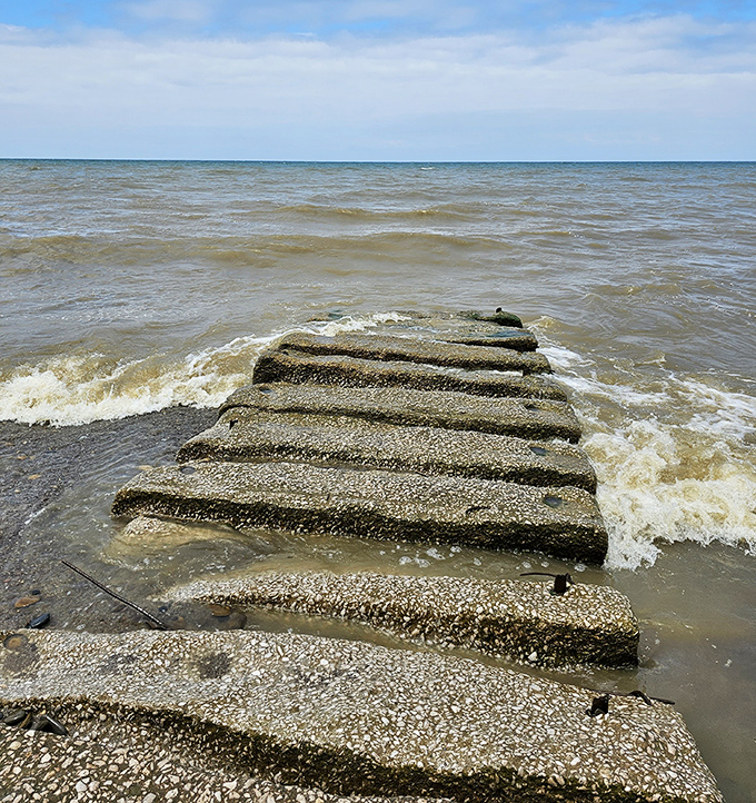 Nature's staircase to nowhere particular—just the kind of path that makes you ponder life's big questions while your shoes get inevitably soaked.