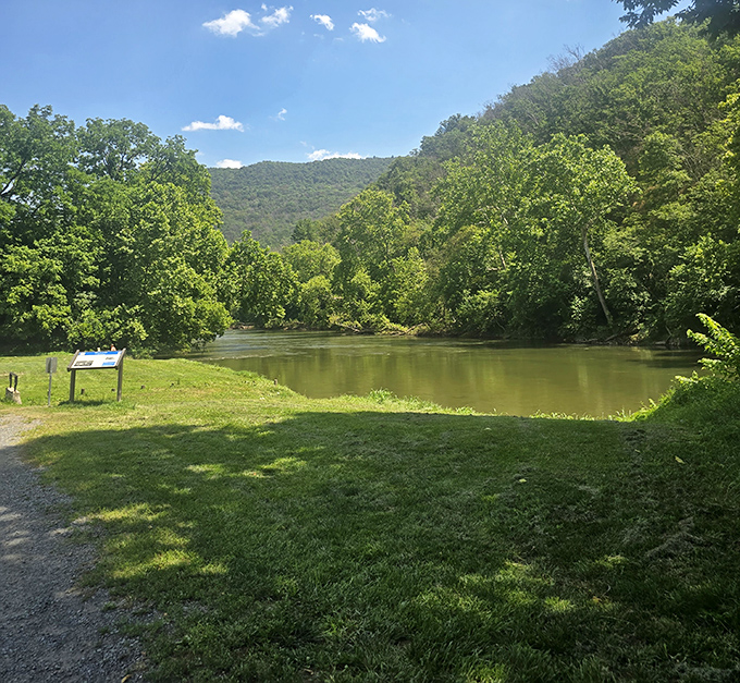 The Shenandoah River curves gently around Strasburg, offering peaceful views that no Instagram filter could possibly improve.