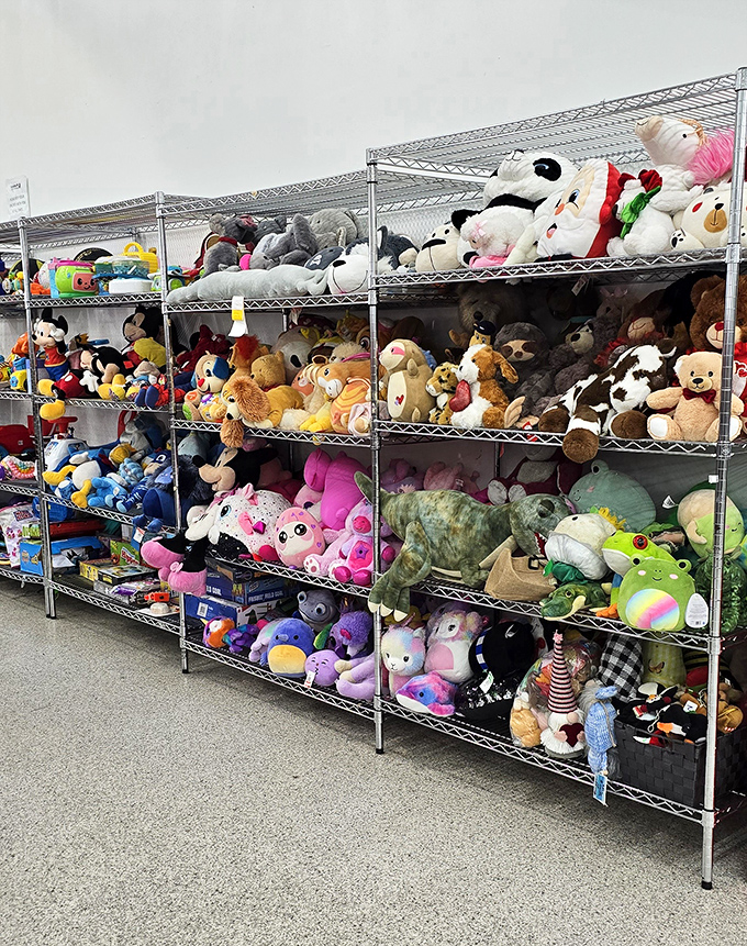 Stuffed animal heaven! This plush menagerie houses everything from forgotten Disney characters to teddy bears waiting for their second chance at cuddles.