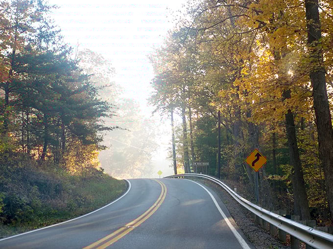 Morning mist parts like theater curtains, revealing the day's scenic performance. This is nature's version of a standing ovation.
