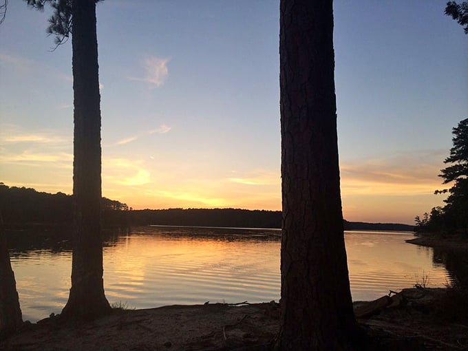 Golden hour at Baker Creek turns the water into liquid amber worth more than bitcoin.