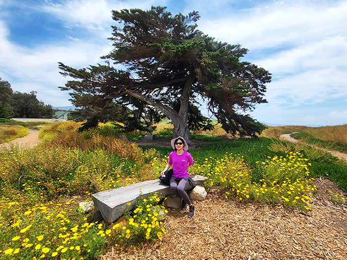 Nature's perfect bench placement&mdash;wildflowers, ancient trees, and endless views combine for what might be California's most therapeutic sitting spot.