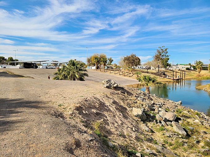 Desert meets water at this riverside spot, where palm trees and gentle waves create a surprising oasis that defies Blythe's desert reputation.