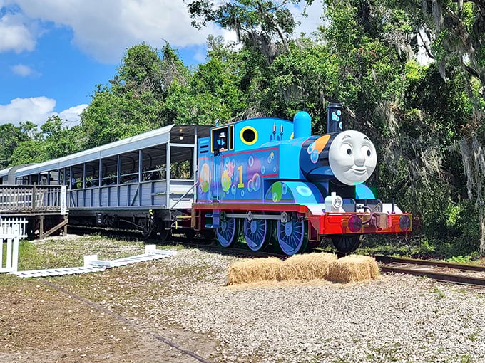 Thomas the Tank Engine makes special appearances throughout the year, proving that childhood joy has no expiration date.