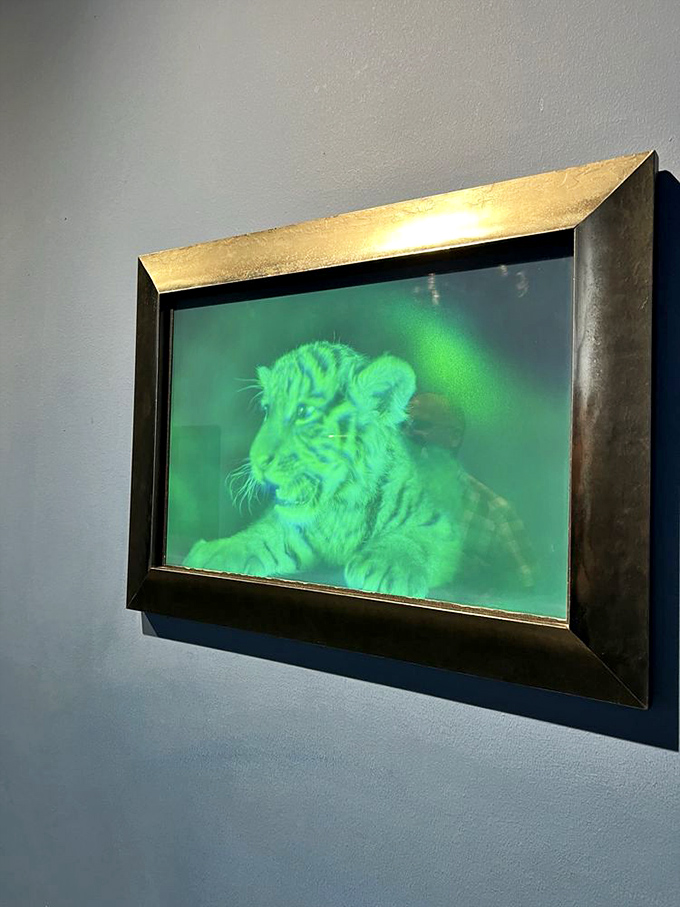 This holographic tiger cub looks so real, you'll want to check for tiny paw prints.