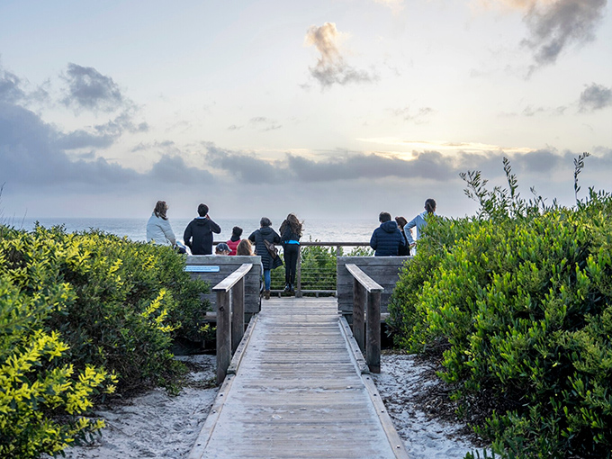 Sunset gatherings at Carmel Beach&mdash;where strangers become friends and everyone gets a front-row seat to nature's nightly masterpiece.