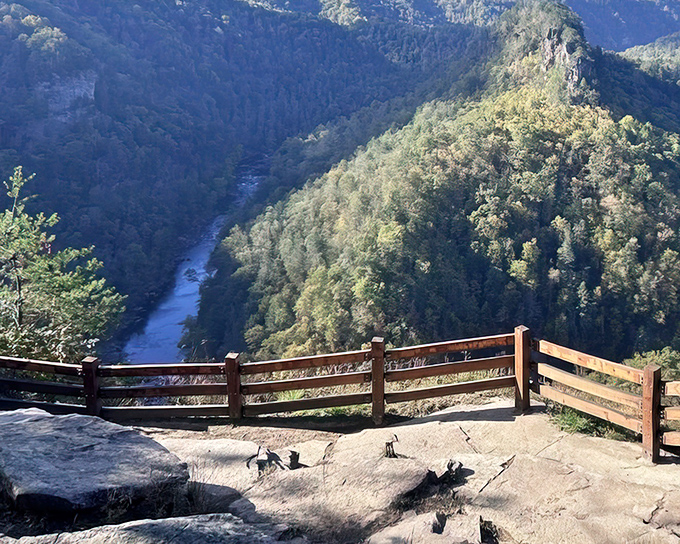 The river carved this canyon with the patience only geology can afford. Standing here makes your deadline stress seem adorably insignificant.