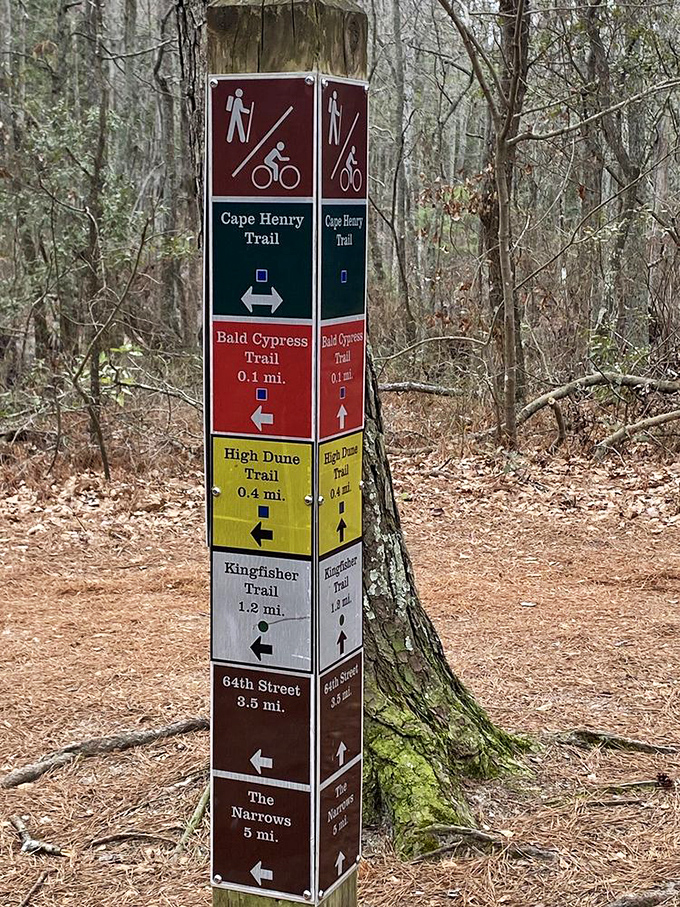 Trail markers standing like colorful tour guides in the forest&mdash;the outdoor equivalent of a mall directory, but with far better scenery. 