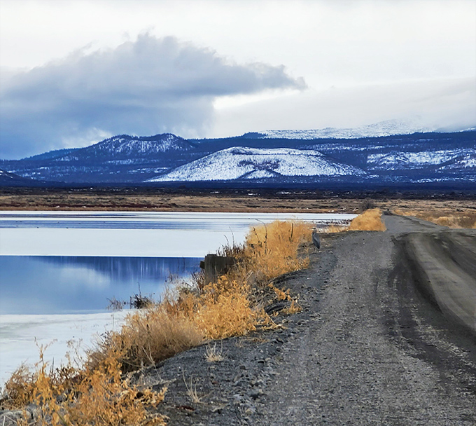 Winter's touch transforms Tule Lake Wildlife Refuge into a watercolor painting. The kind of road trip detour that makes you forget to check your phone.