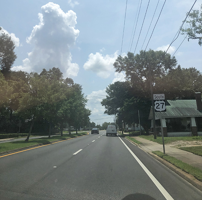 Cruising down Route 27 South, where towering trees create nature's cathedral ceiling and every turn might lead to an unexpected discovery.